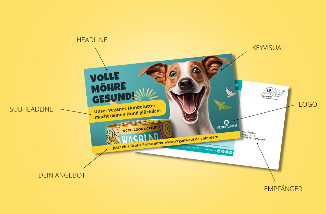 Die perfekte Postkarte für dein Marketing